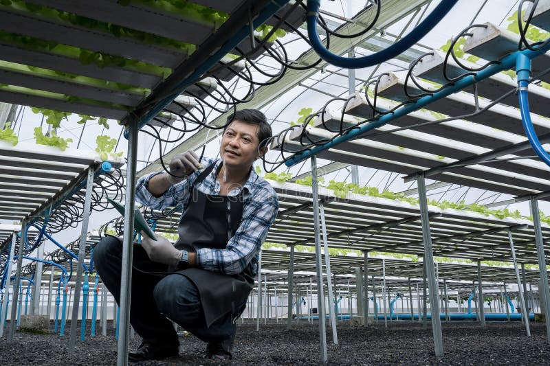 Man Installing Pipe System of Hydroponic Vegetable Farm. Hydroponic ...