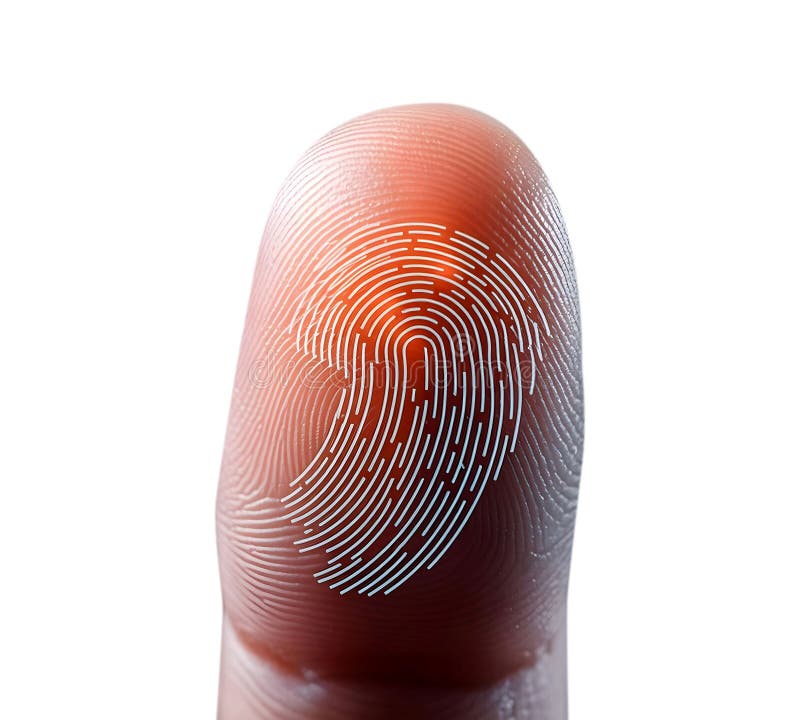 Man Interacting with Fingerprint on Touch Screen Stock Illustration ...
