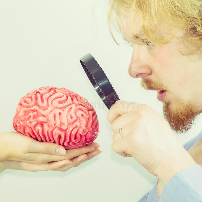 Man Investigating Human Brain Using Magnifer Stock Photo - Image of ...