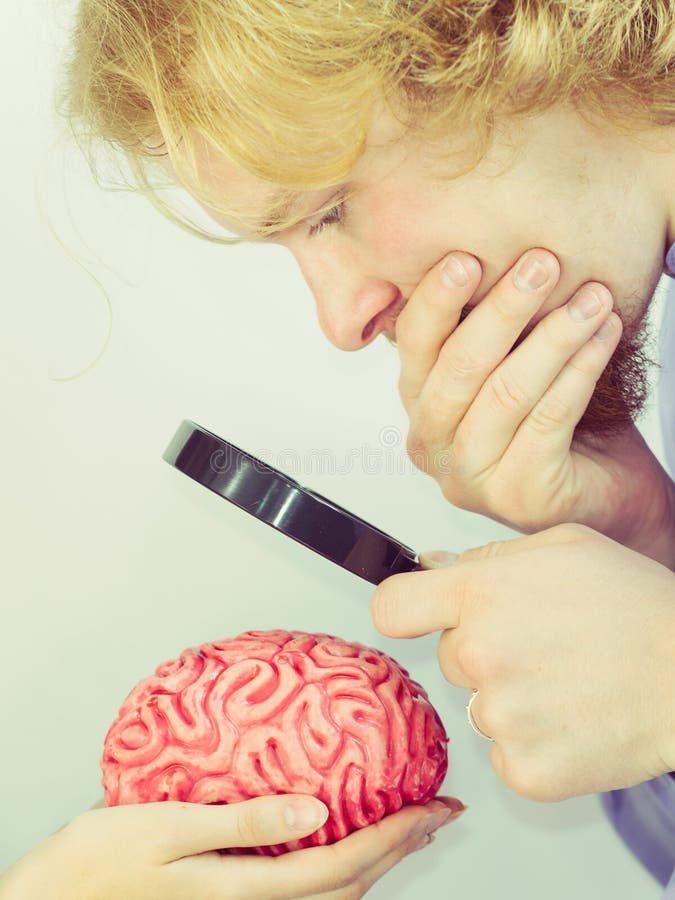 Man Investigating Human Brain Using Magnifer Stock Photo - Image of ...