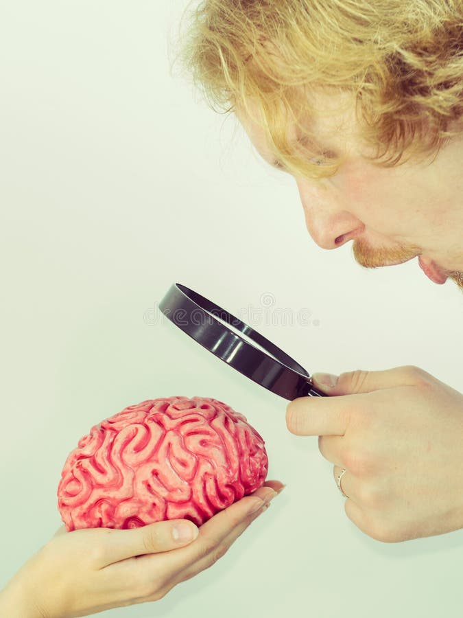 Man Investigating Human Brain Using Magnifer Stock Photo - Image of ...