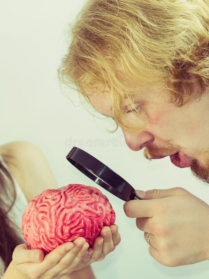 Man Investigating Human Brain Using Magnifer Stock Image - Image of ...