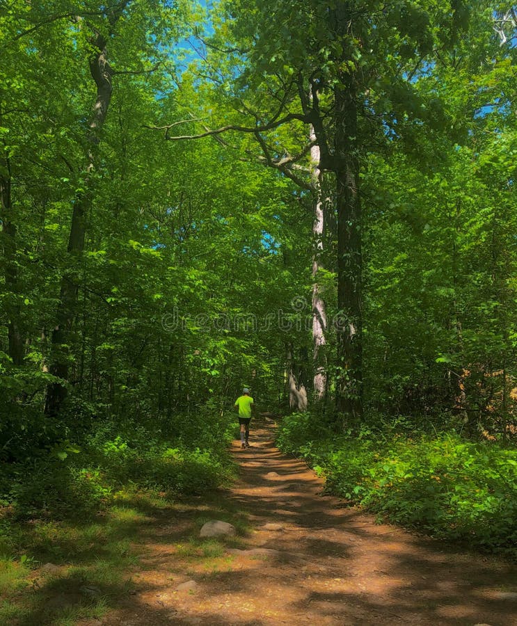Man Jogging on a Nature Trail Pathway in the Park NY Stock Photo ...
