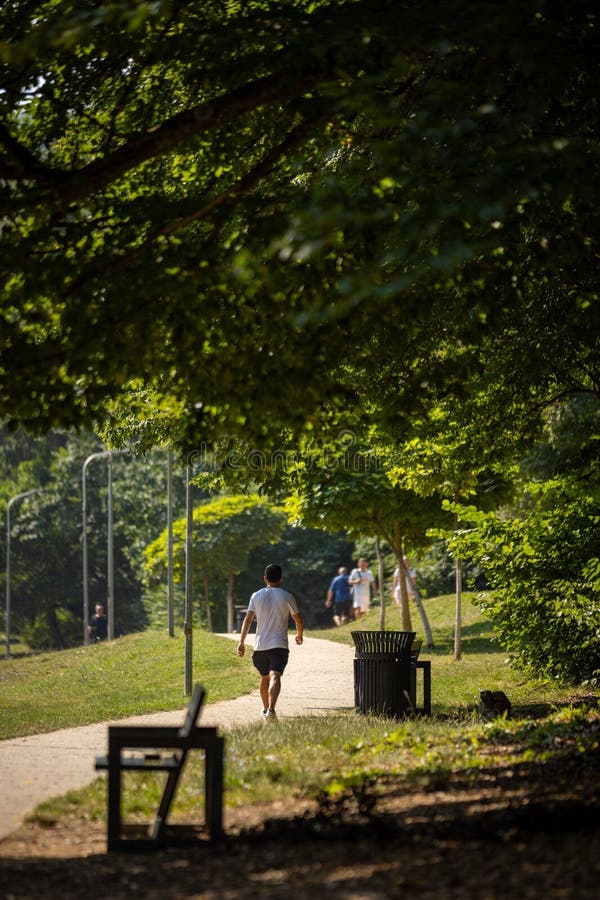 Man Jogging on a Sunny Park Path Stock Image - Image of bench ...