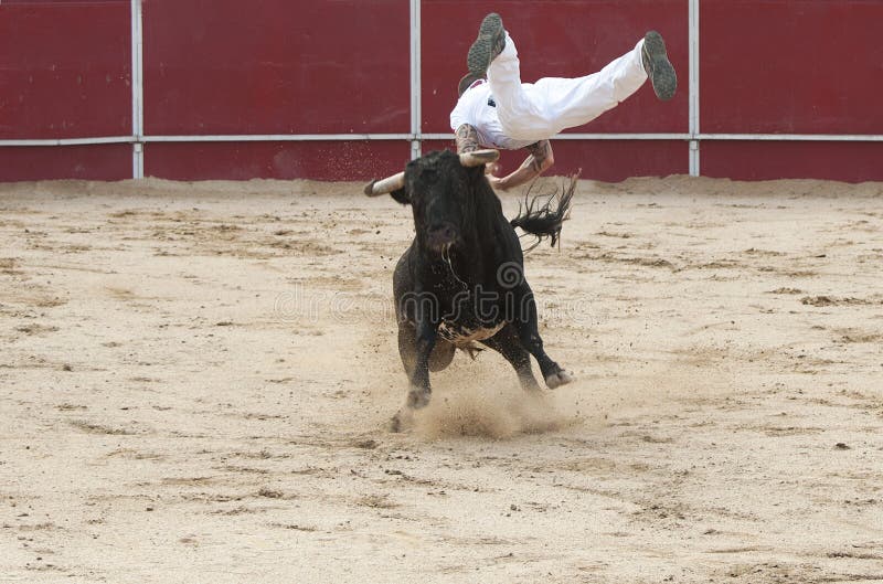 Jumping Of The Bull Ceremony Ethiopia Editorial Stock Image - Image of ...
