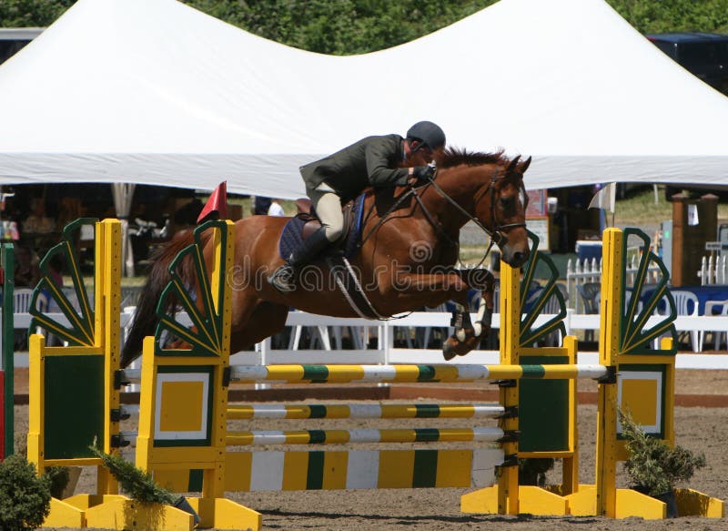 Man jumping Oxer stock image. Image of horse, leap, athlete - 2089913