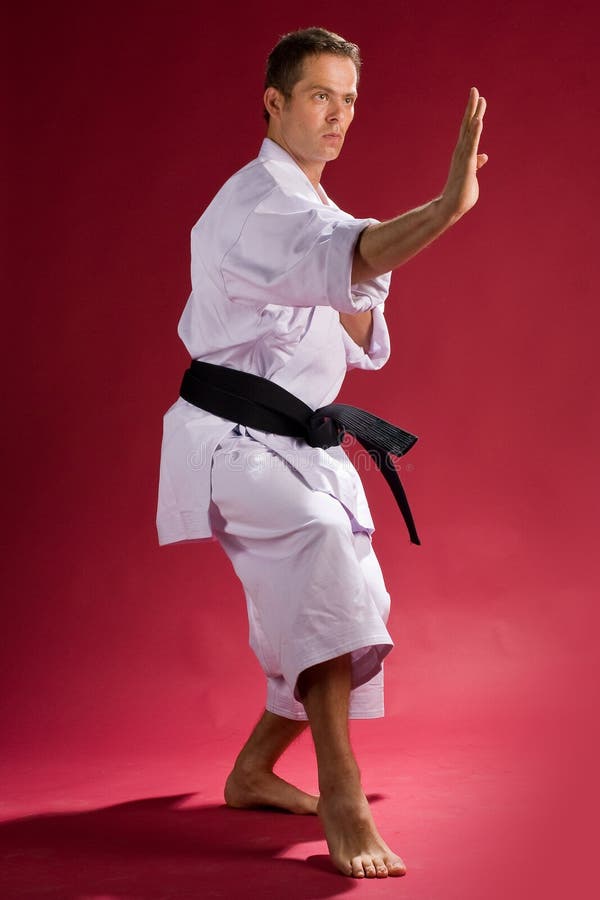 Man in karate pose stock photo. Image of posing, karateka - 5919678