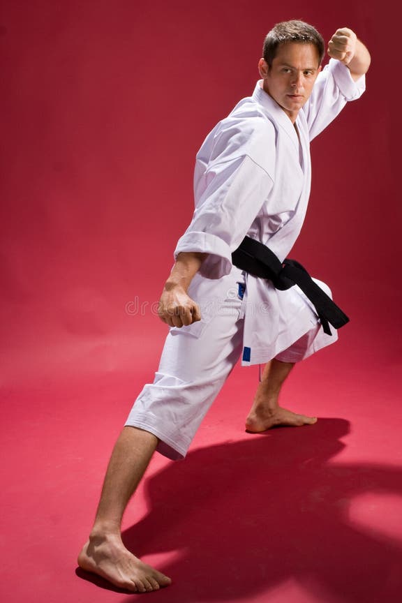Man in Karate Pose stock image. Image of striking, karate - 5929251