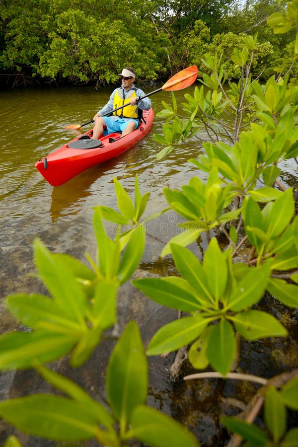 Man kayaking in tropical stock image. Image of lake, adventure - 38587919