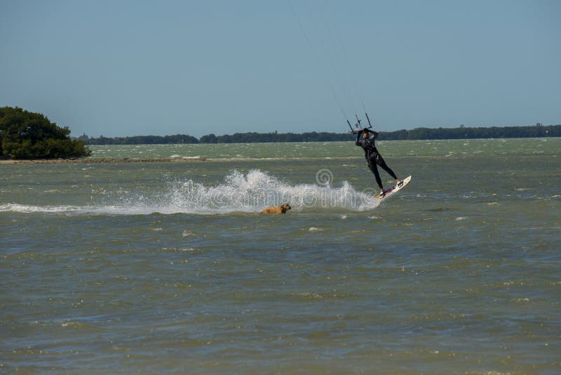 Man kiting on water editorial photography. Image of water - 87389032