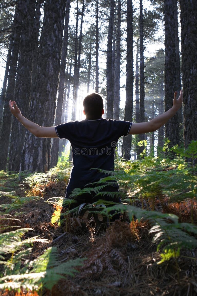 35,701 Kneeling Stockade Stock Photos - Free & Royalty-Free Stock ...