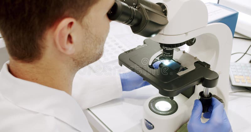 Man Laboratory Assistant Looking Blood Sample Trough Microscope in ...