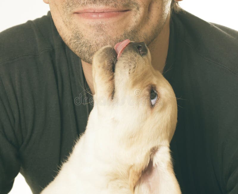 Man and labrador puppy stock photo. Image of holding - 68251348