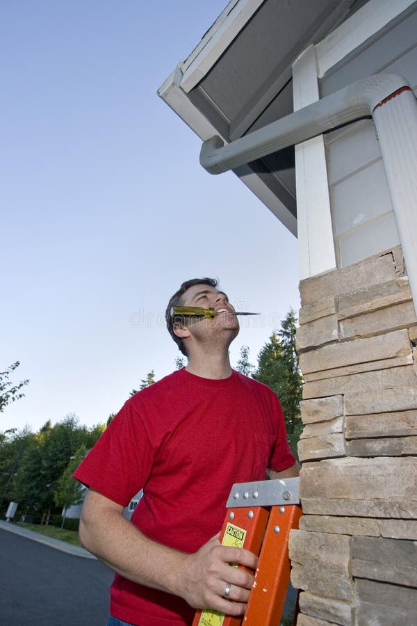 Man On Ladder - Vertical Picture. Image: 6201875