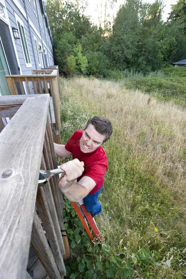 Man On Ladder - Vertical Picture. Image: 6201938