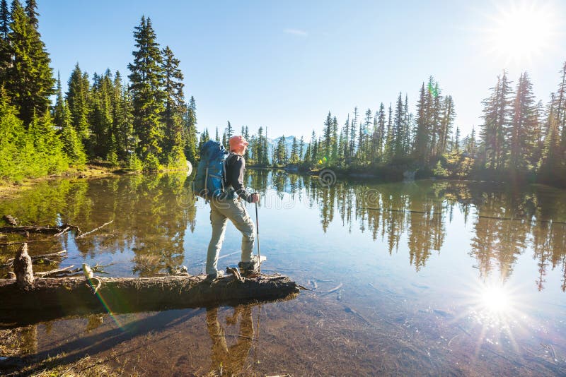 Man on the lake stock photo. Image of wandering, hiker - 194458400