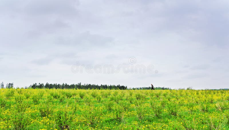 Man on the land. stock photo. Image of male, blue, horizon - 18111244