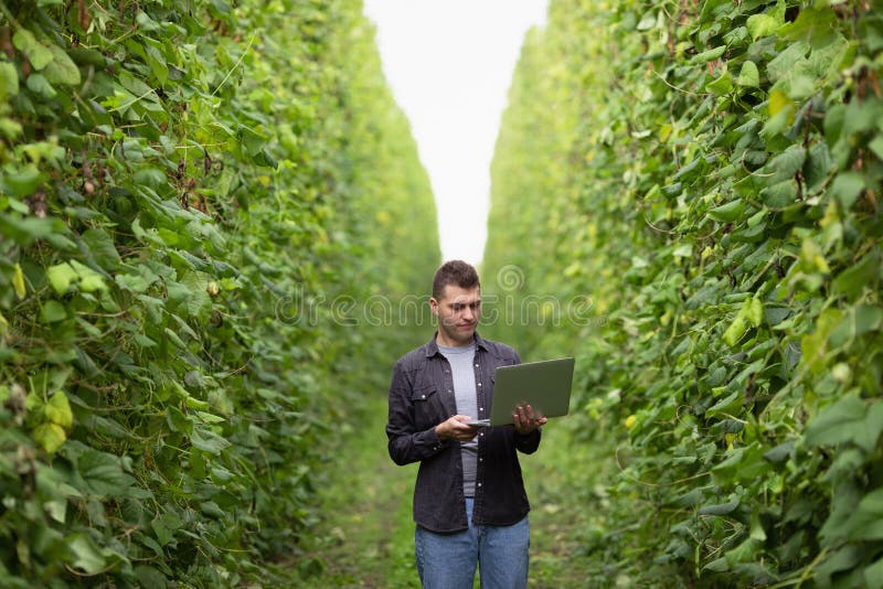 Man with Laptop among Green Field. Engineer Work Outdoor Stock Image ...