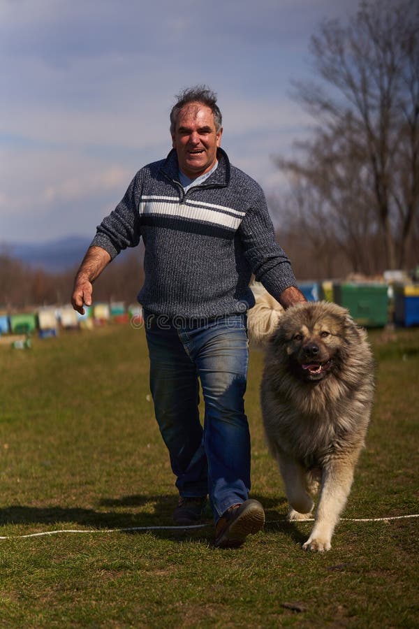Man with a Large Fluffy Guard Dog Stock Image - Image of animal ...