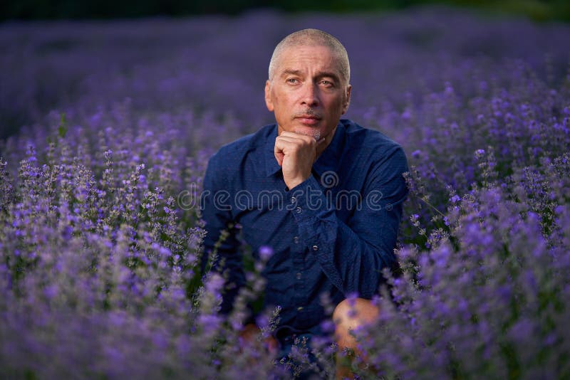 Man in a lavender field stock image. Image of farmer - 286519899