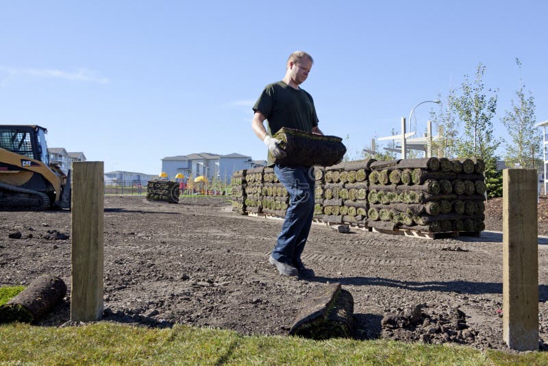 Man Laying Turf, Alberta, Canada Editorial Photo - Image of summit ...