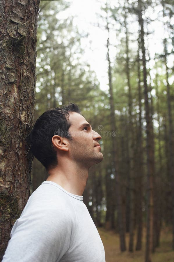 19,080 Man Up Tree Stock Photos - Free & Royalty-Free Stock Photos from ...