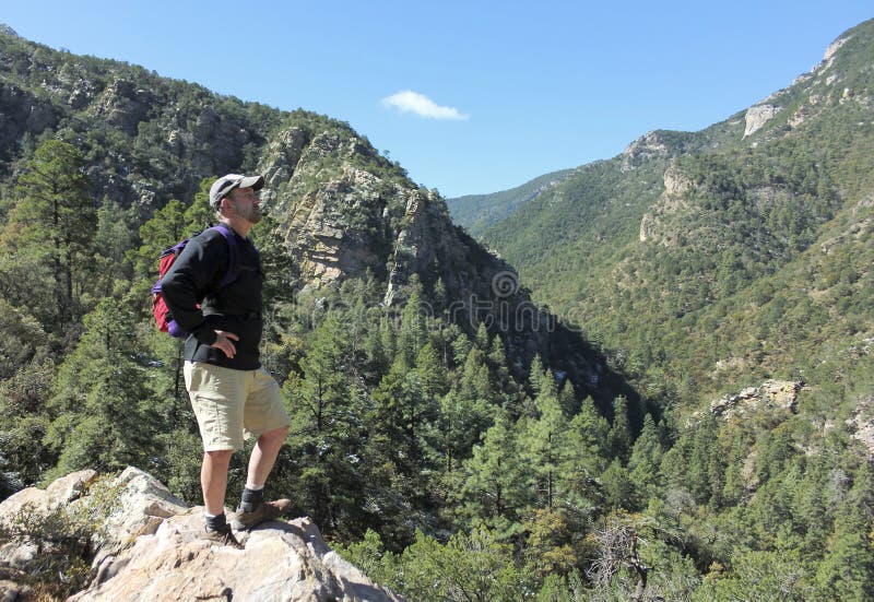 A Man on a Ledge Overlooking a Forest Stock Image - Image of outcrop ...
