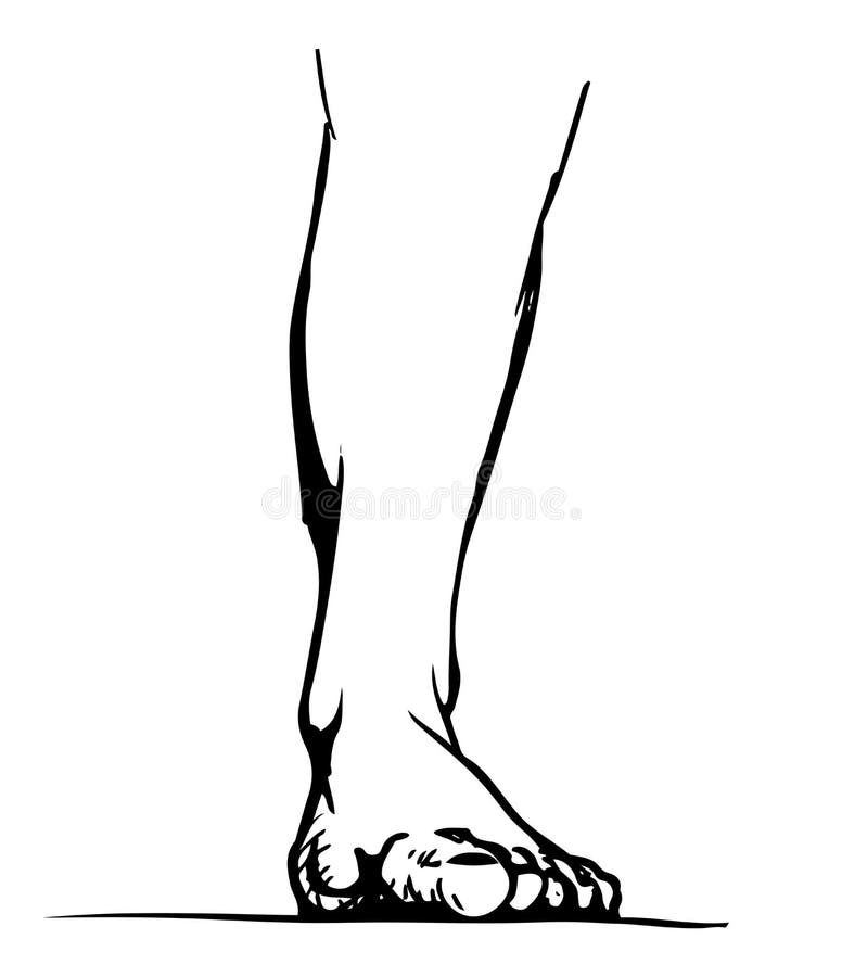 Man leg stock vector. Illustration of drawn, health, barefoot - 84255252