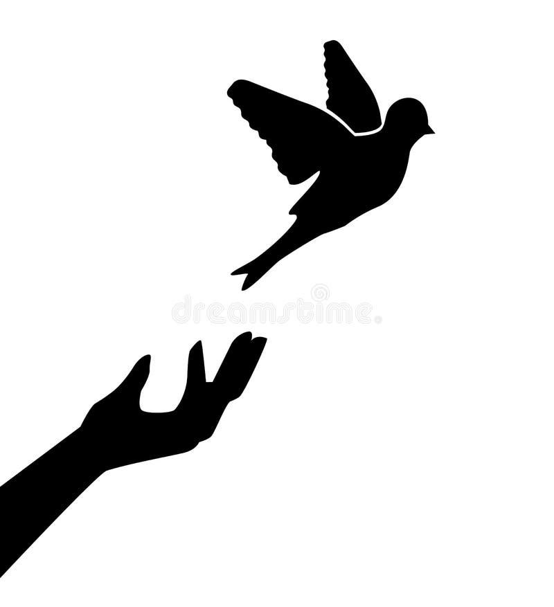 The man let the bird stock vector. Illustration of freedom - 64732229
