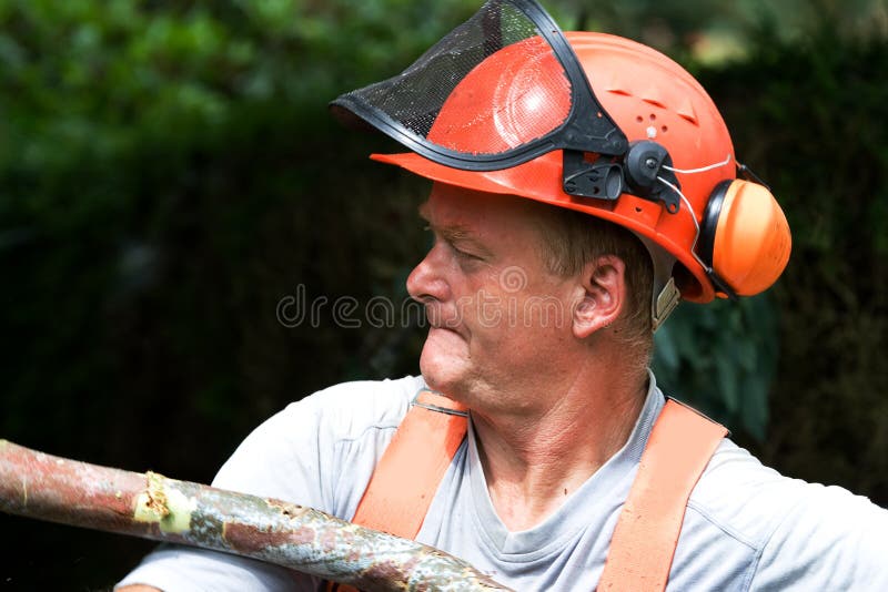 Man lifting Heavy log stock image. Image of toil, wood - 6279275