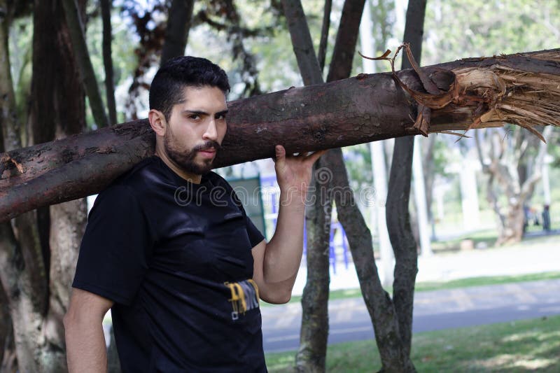 Young Man Lifting a Tree Trunk in a Forest. Lumberjack Cutting a Tree ...