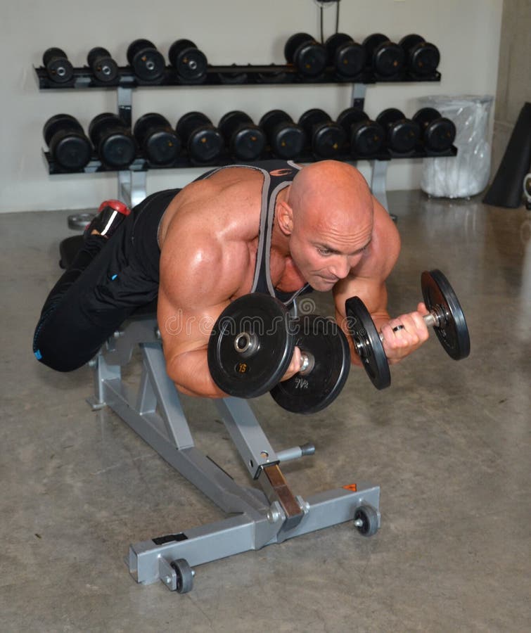Man Lifting Weights stock image. Image of randi, triceps - 45180277