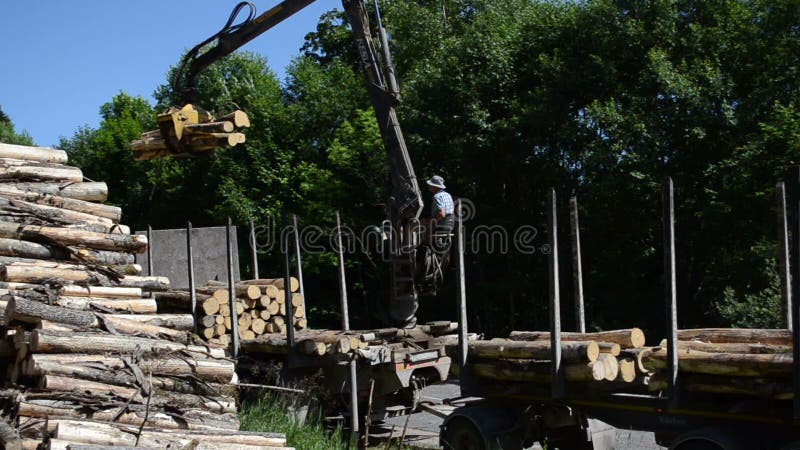Man load trailer wood log stock footage. Video of grab - 35733405