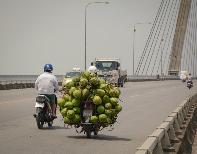 A Man Loading Coconut On Binh Bridge Editorial Stock Image - Image of ...