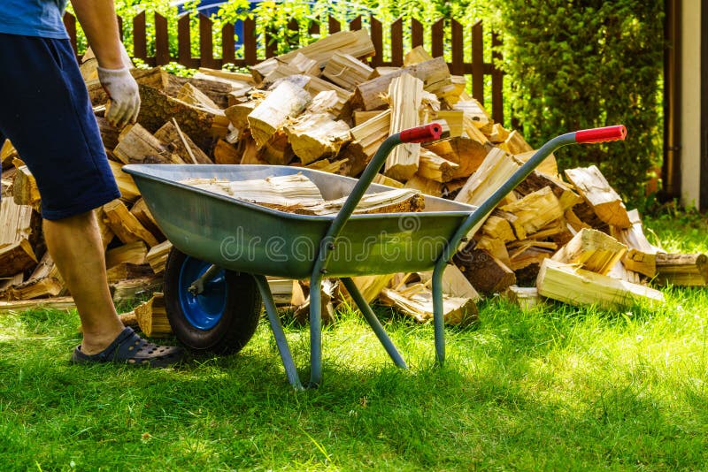 Man Loading Firewood on Wheelbarrow Stock Image - Image of wood, stack ...