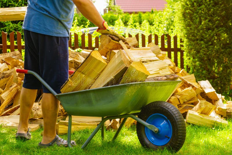 Man Loading Firewood on Wheelbarrow Stock Image - Image of firewood ...