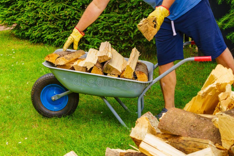 Man Loading Firewood on Wheelbarrow Stock Image - Image of barrow ...