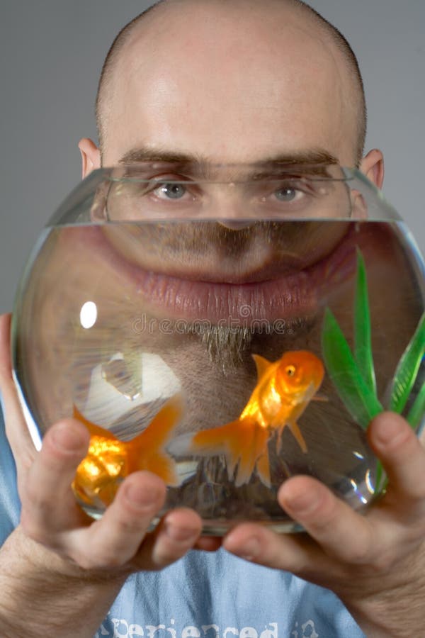 Man Looking through Goldfish Bowl Stock Image - Image of bowl, animal ...