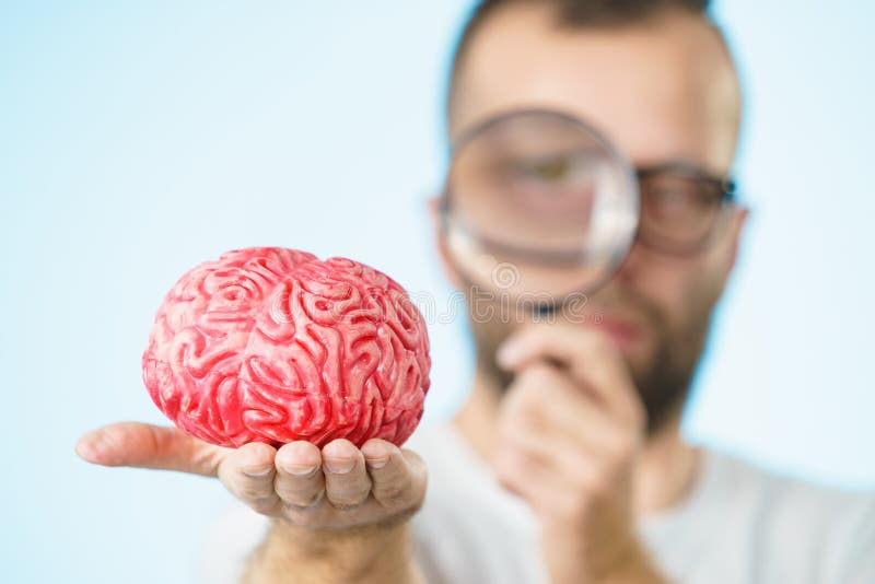 Man looking at human brain stock image. Image of contemplative - 318843255