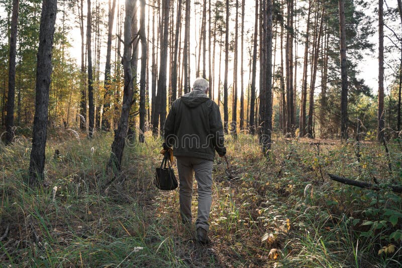 Man Looking at the Nature while Being at the Forest Alone and Relaxing ...