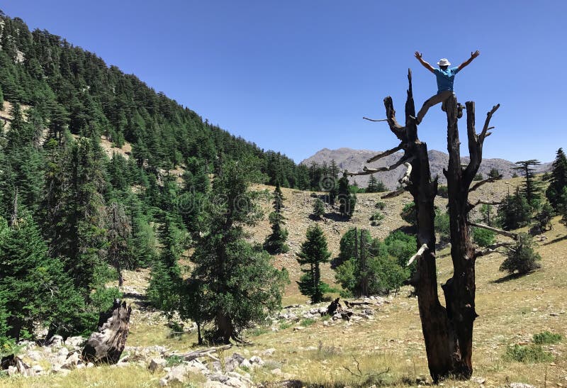 Man Looking Out from Tree To Wild Mountains Stock Image - Image of ...