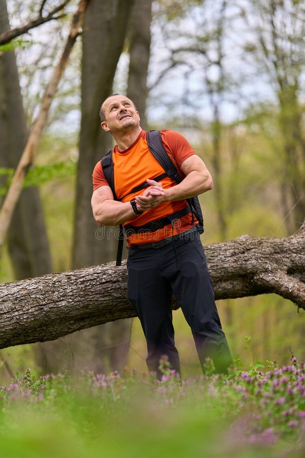 Man Looking Up in Forest Trail Stock Image - Image of trekking ...