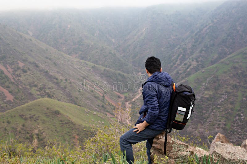 A man looks at a path stock image. Image of garden, nature - 157173189