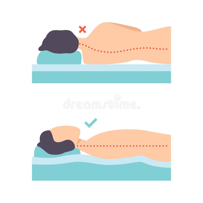 Correct Spine Sleeping Position Stock Illustrations – 235 Correct Spine ...