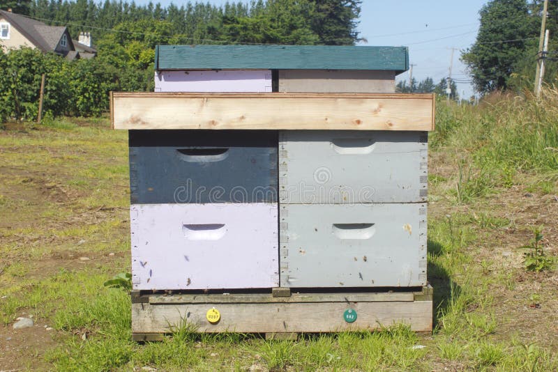 Man-made Beehive Box stock image. Image of summer, wooden - 25580265