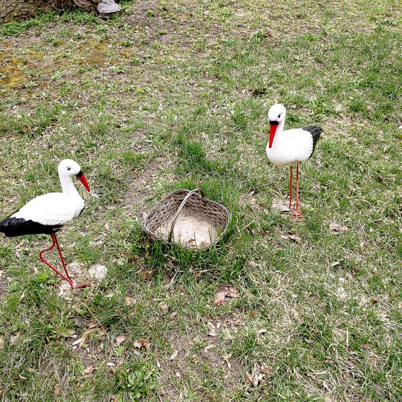 In the Spring Garden, Installation of Two Storks Near a Basket Stock ...