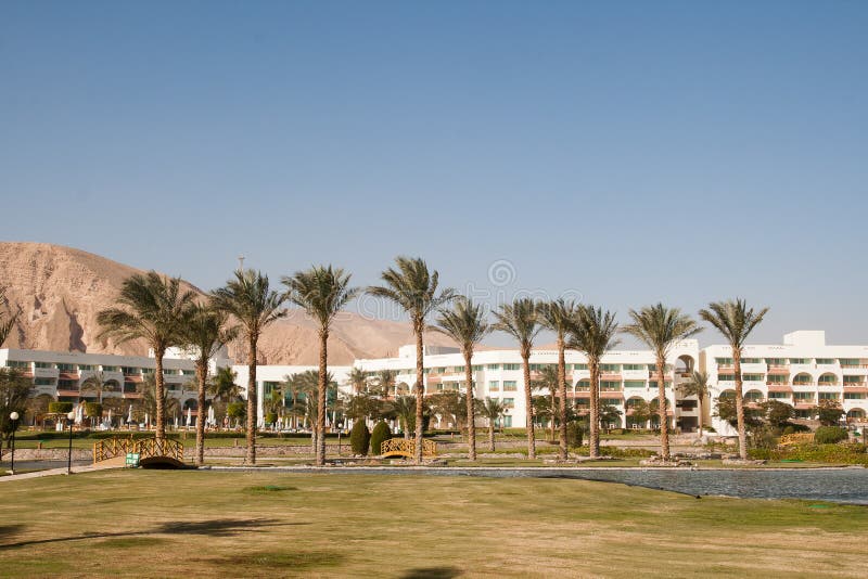 Man-made Oasis at the Hotel. Taba, Egypt. Stock Photo - Image of beach ...