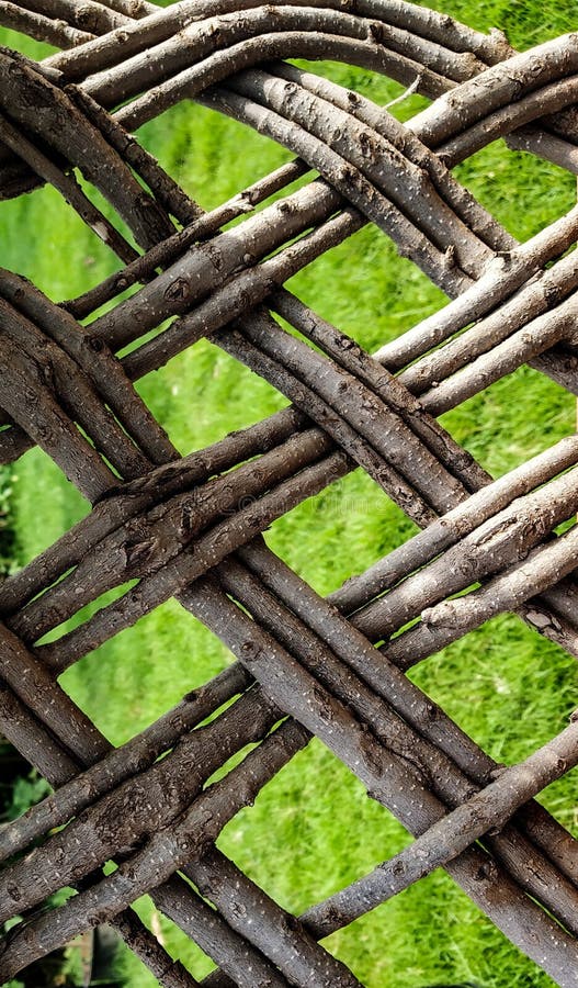 Man-made Patterns Wallpaper Stock Image - Image of green, branch: 199899007