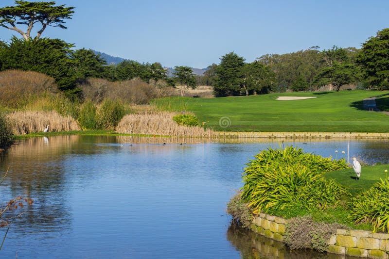 Man Made Pond Near a Golf Course, California Stock Image - Image of ...