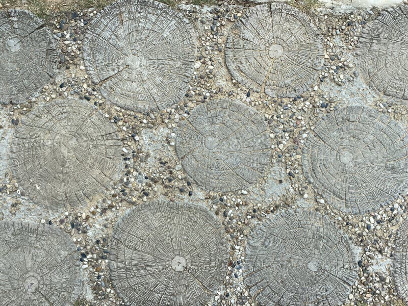 Man-Made Tree Trunk Stone Steps Stock Image - Image of steps, tree ...